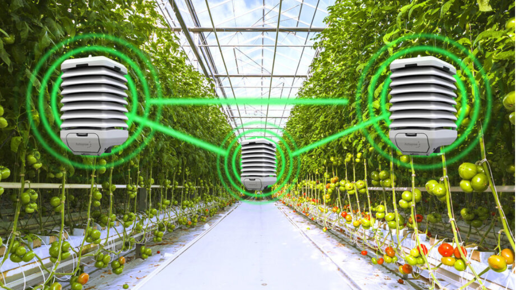 Innovative Bluetooth Sensor Network Delivers Improved Crop Status ...